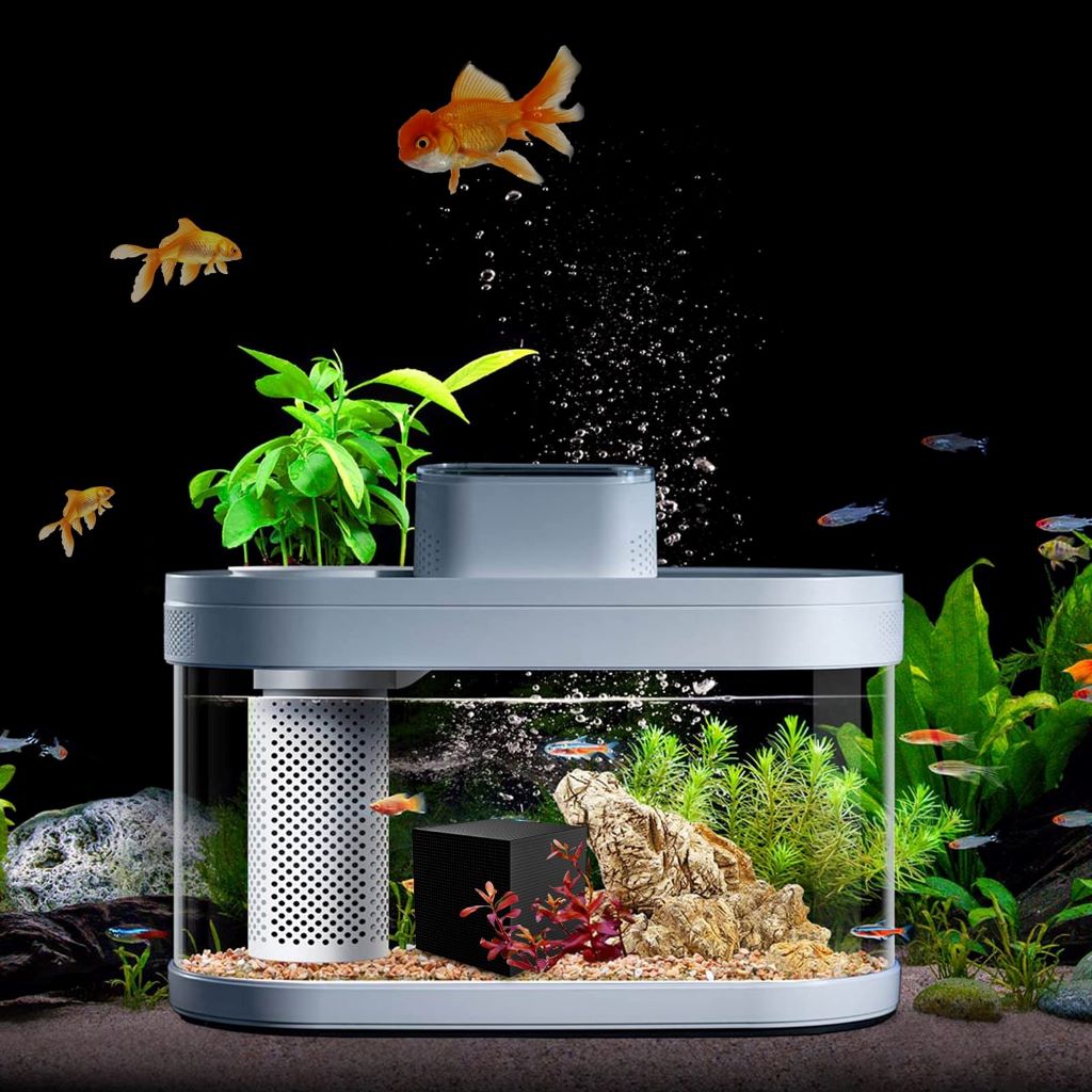 Natural Filtration Systems for Aquariums - True Strange