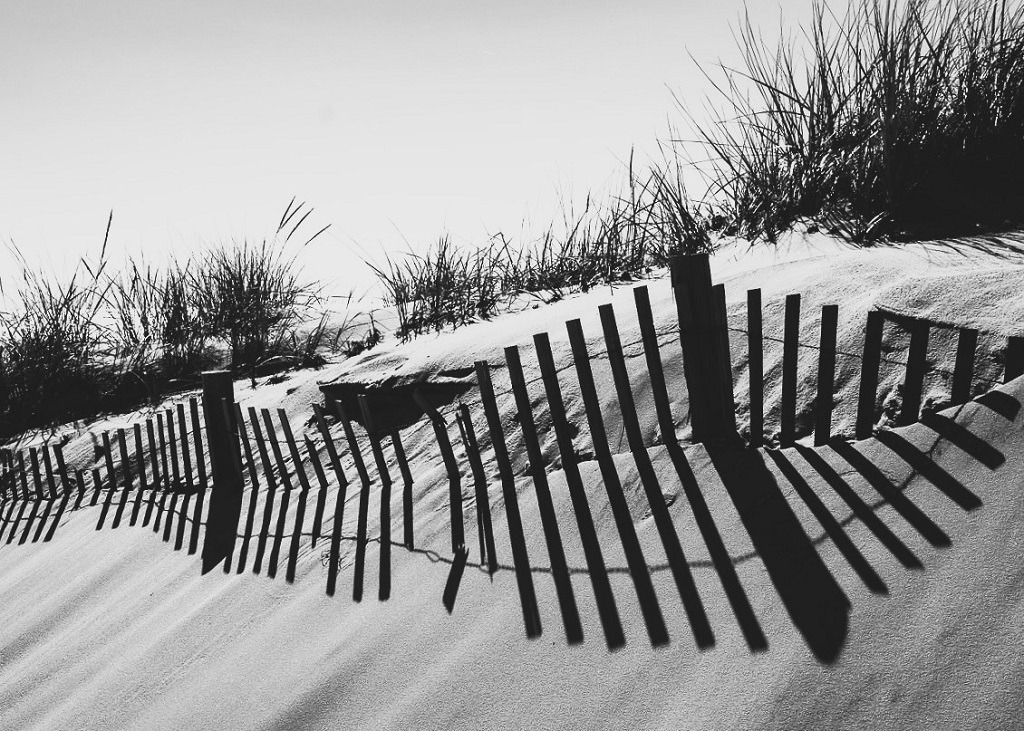 Using Shadows Creatively in Photography - True Strange