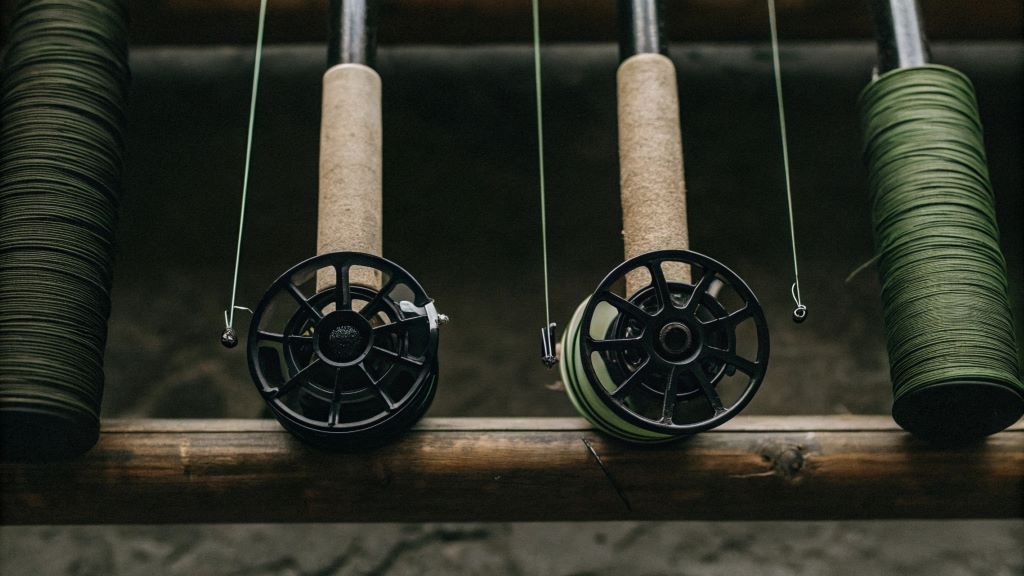 Fishing Lines Demystified: Strength and Sensitivity Explained - True ...